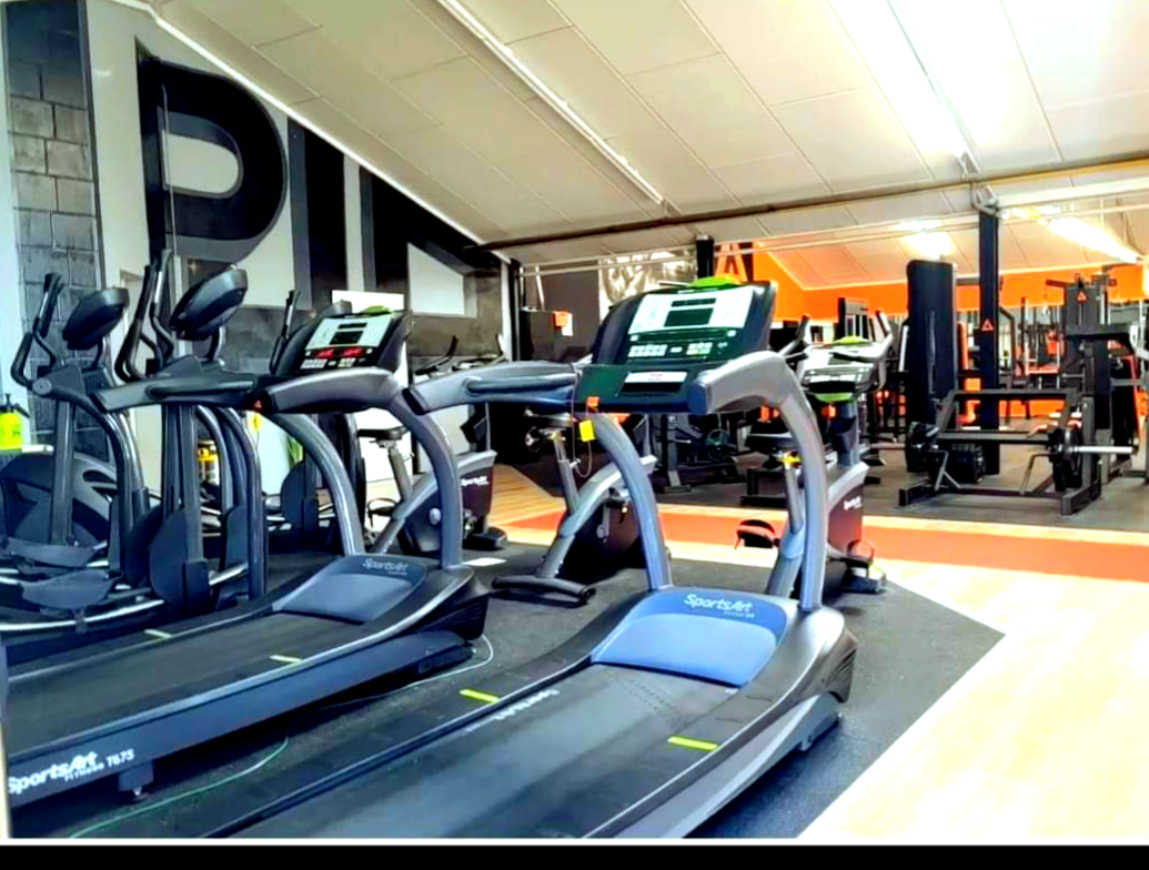 Gallery of Fame – ALPHA BODY GYM Northeim | FITNESS & MMA
